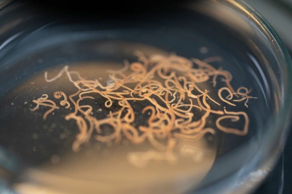 Hygiène : 5 Conseils Clés pour une Routine Saine et Protectrice