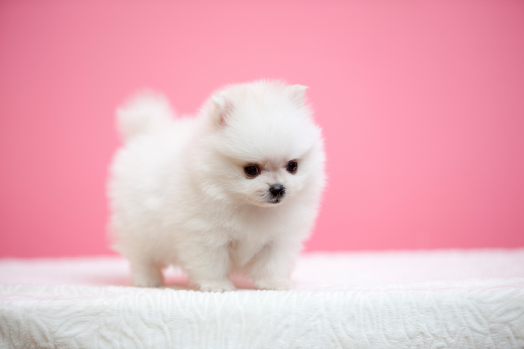 Hygiène : 5 Conseils Clés pour une Routine Saine et Protectrice