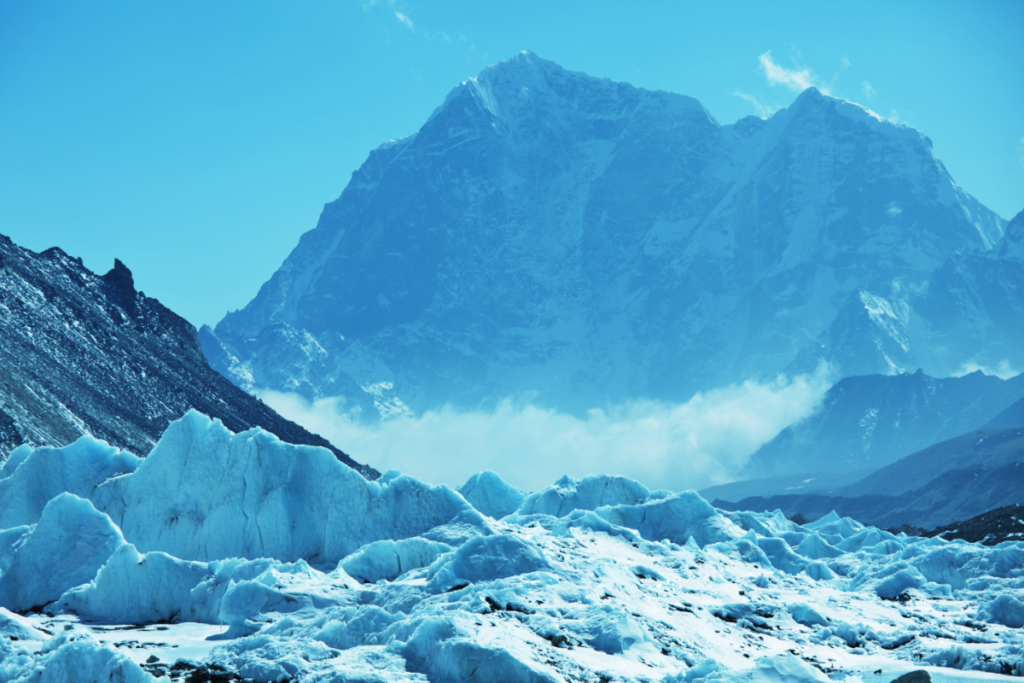 Entdecken Sie die Vorteile der Himalaya-Narde