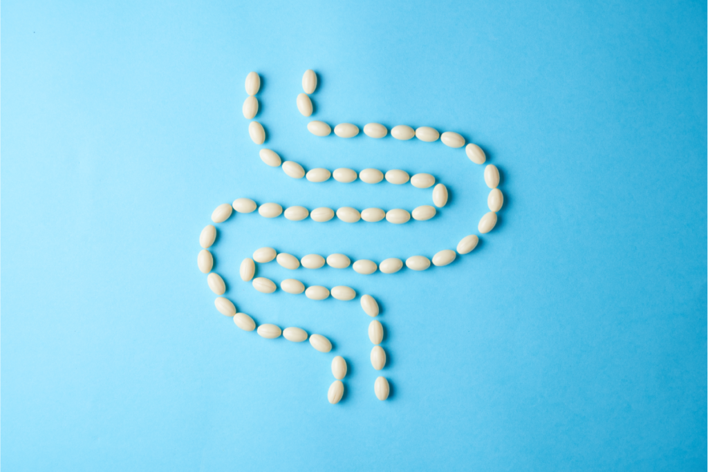 Intestinal permeability: how to repair the digestive barrier?