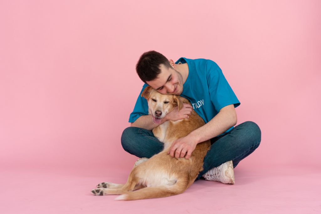 Canine communication: do you really understand your dog?