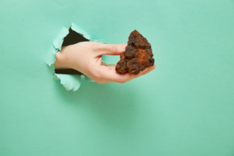 Chaga: Benefits, properties and precautions to know