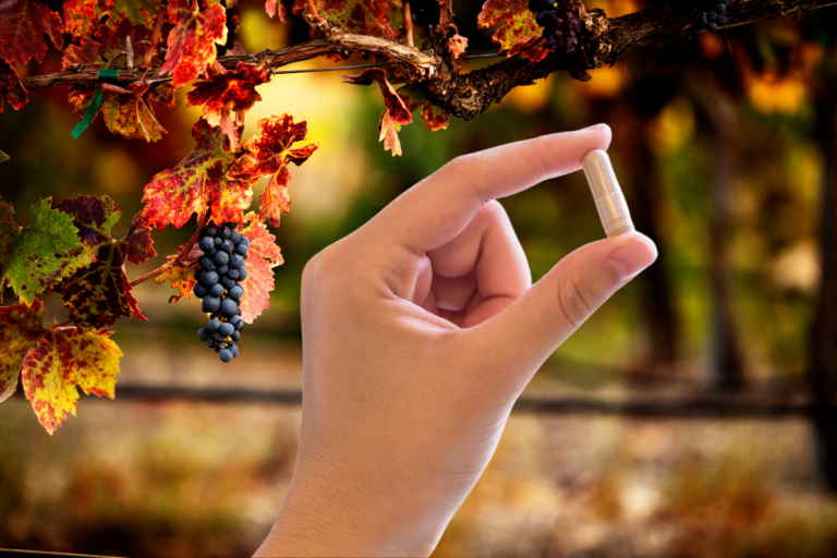 Grapevine: Therapeutic uses and benefits